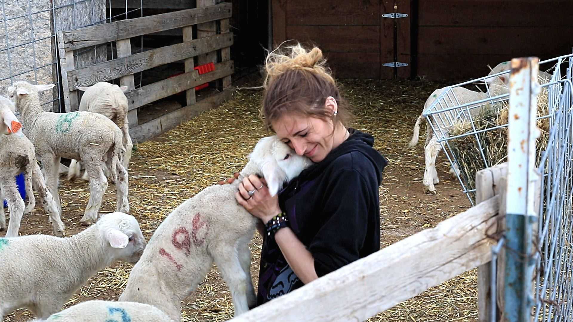 Helle Family Ranch for National Sheep Improvement Program - Highlights ...